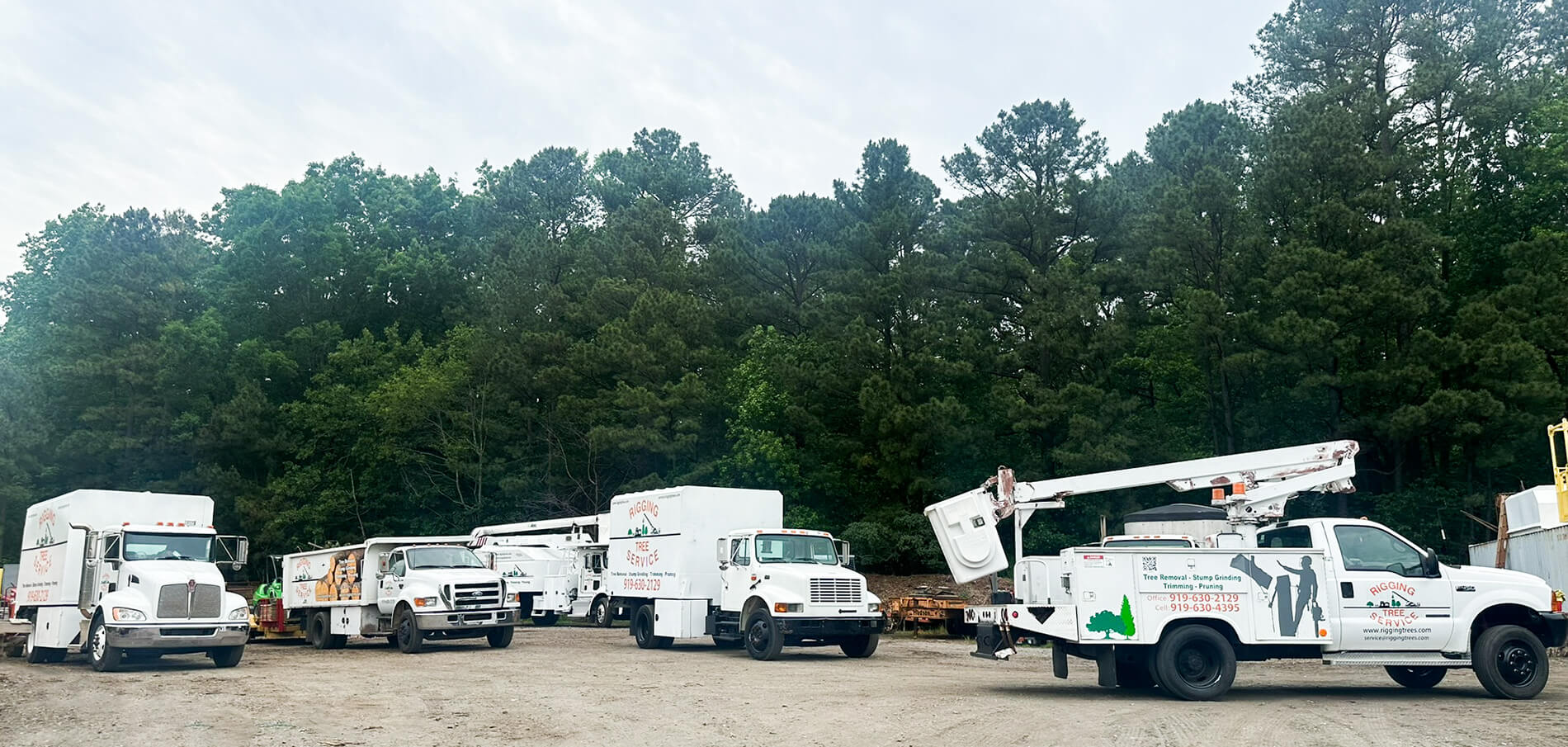 Rigging Tree Service, LLC – Residential and Commercial Professional ...
